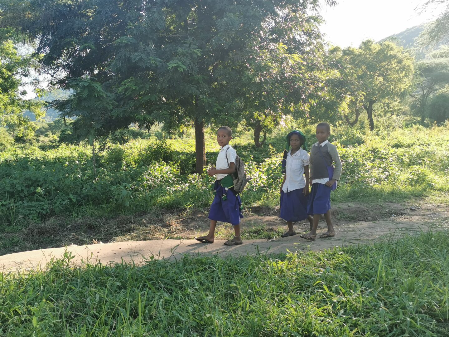 Moya Primary School - Africa Foundation Tanzania