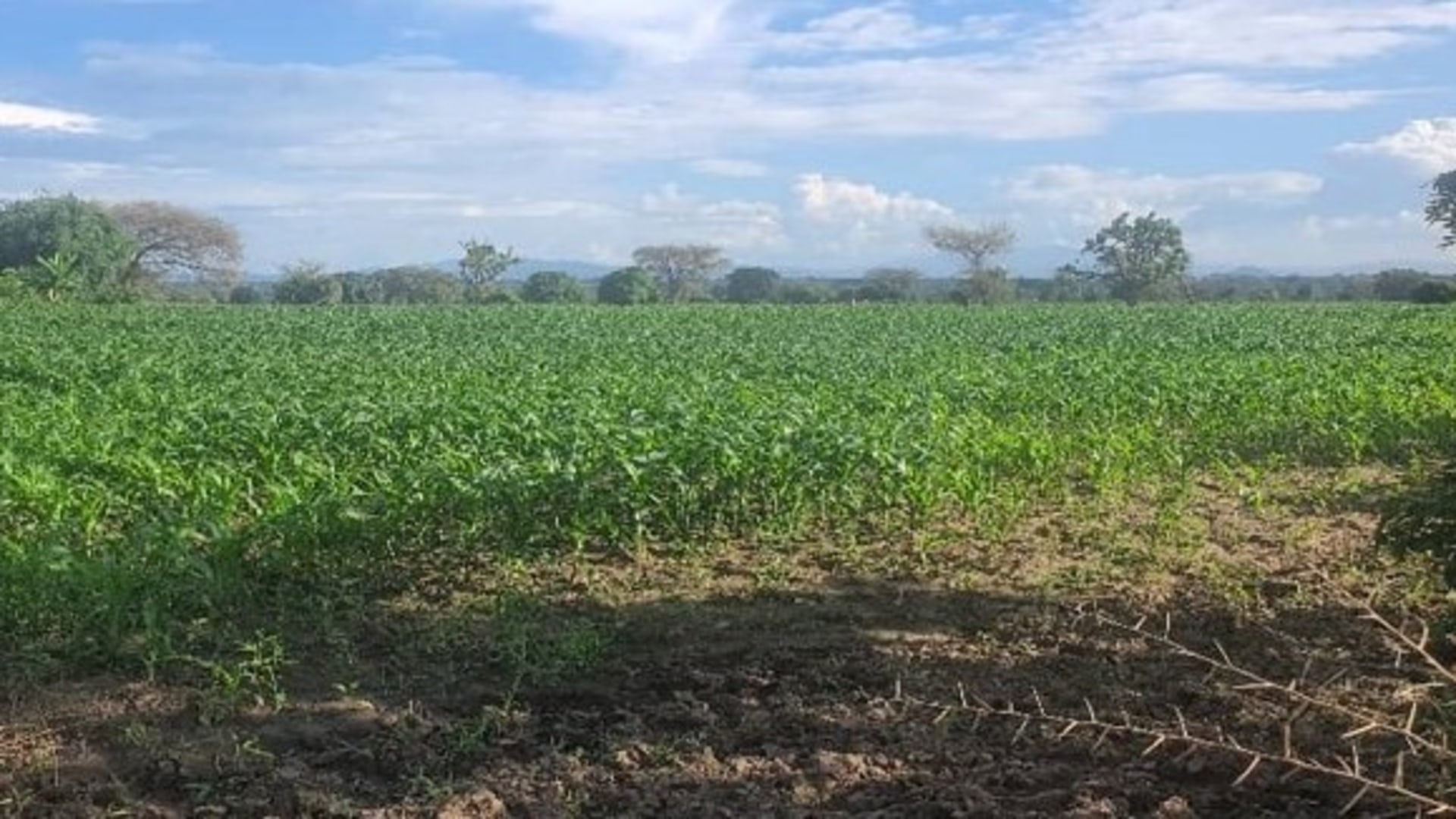 Lake Manyara Agroecology project - Africa Foundation Tanzania